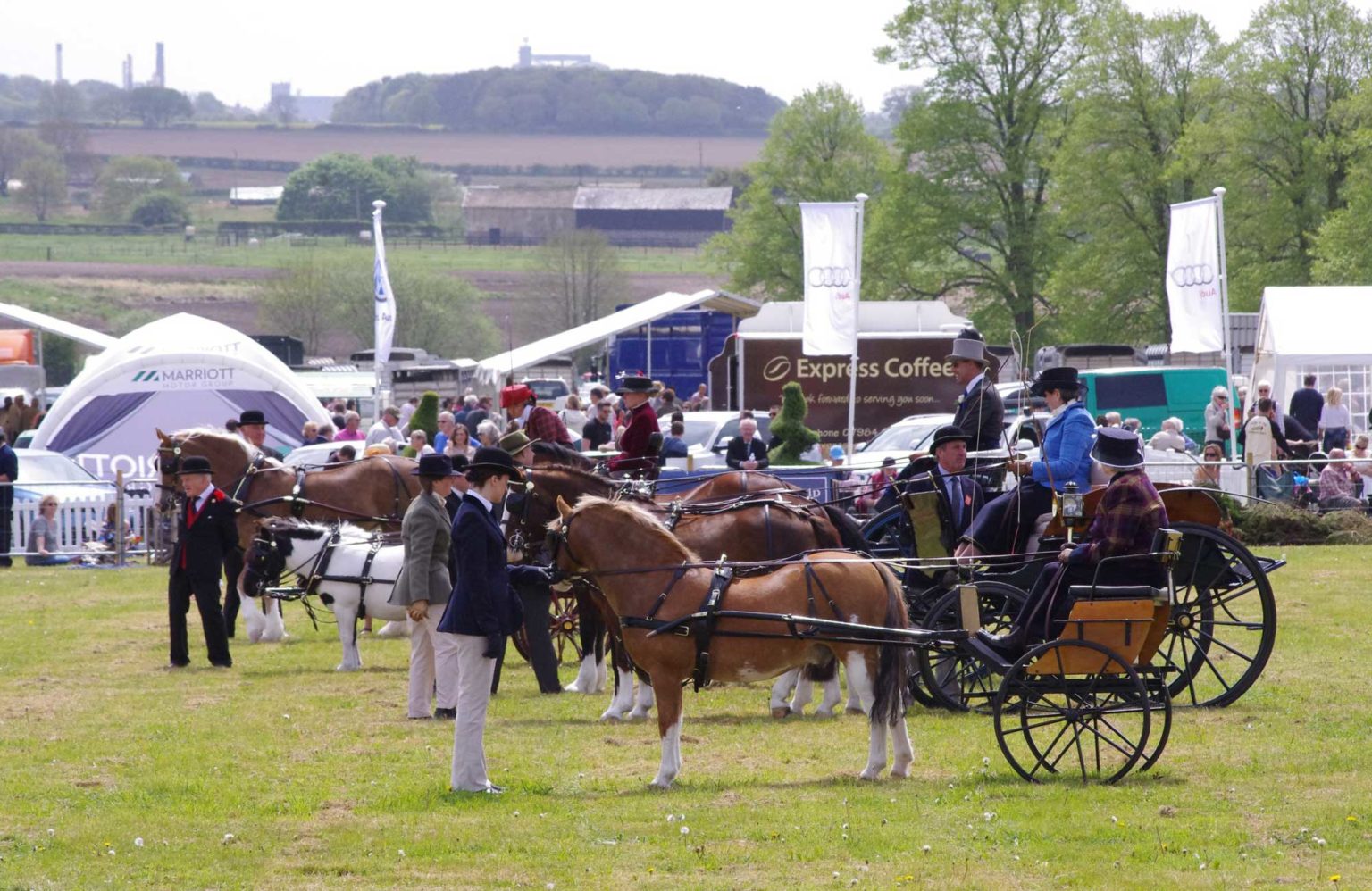 Gallery - South Suffolk Show