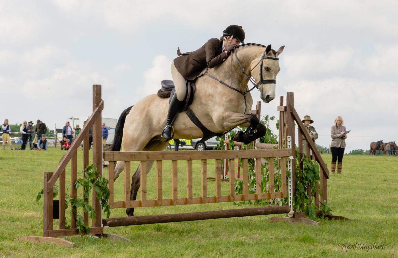 Horses - South Suffolk Show