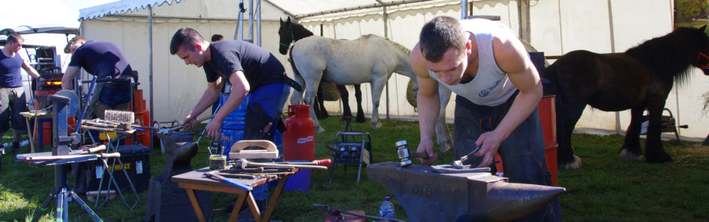 Gallery - South Suffolk Show