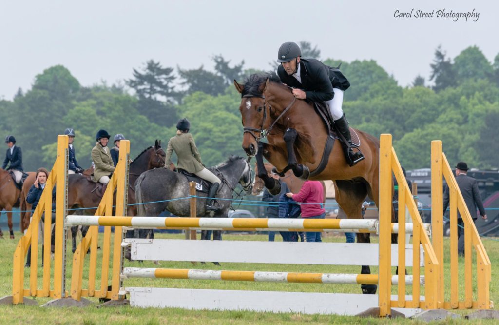 Horses - South Suffolk Show