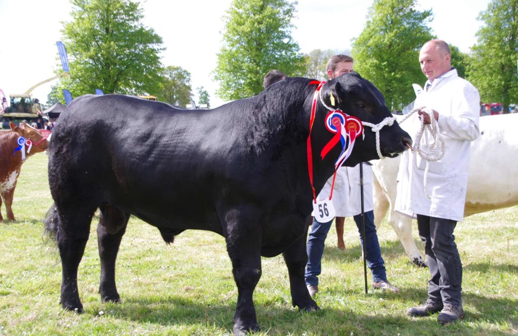 Home - South Suffolk Show