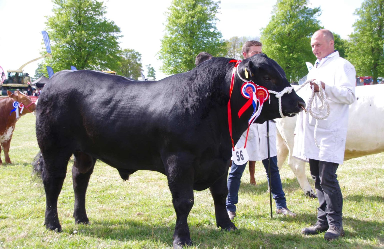 Home - South Suffolk Show