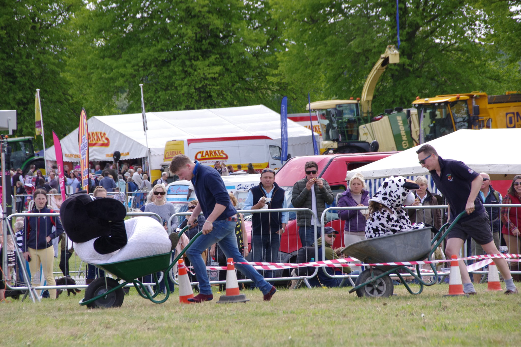 Gallery - South Suffolk Show